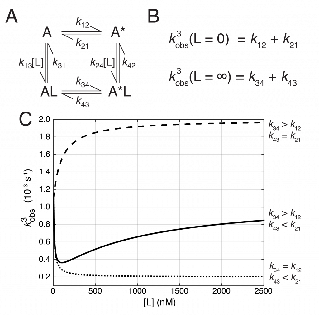 Our work describing the observed kinetics of parallel binding ...